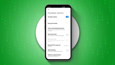 How to Enable Developer Options on Xiaomi Phones | TechRushi
